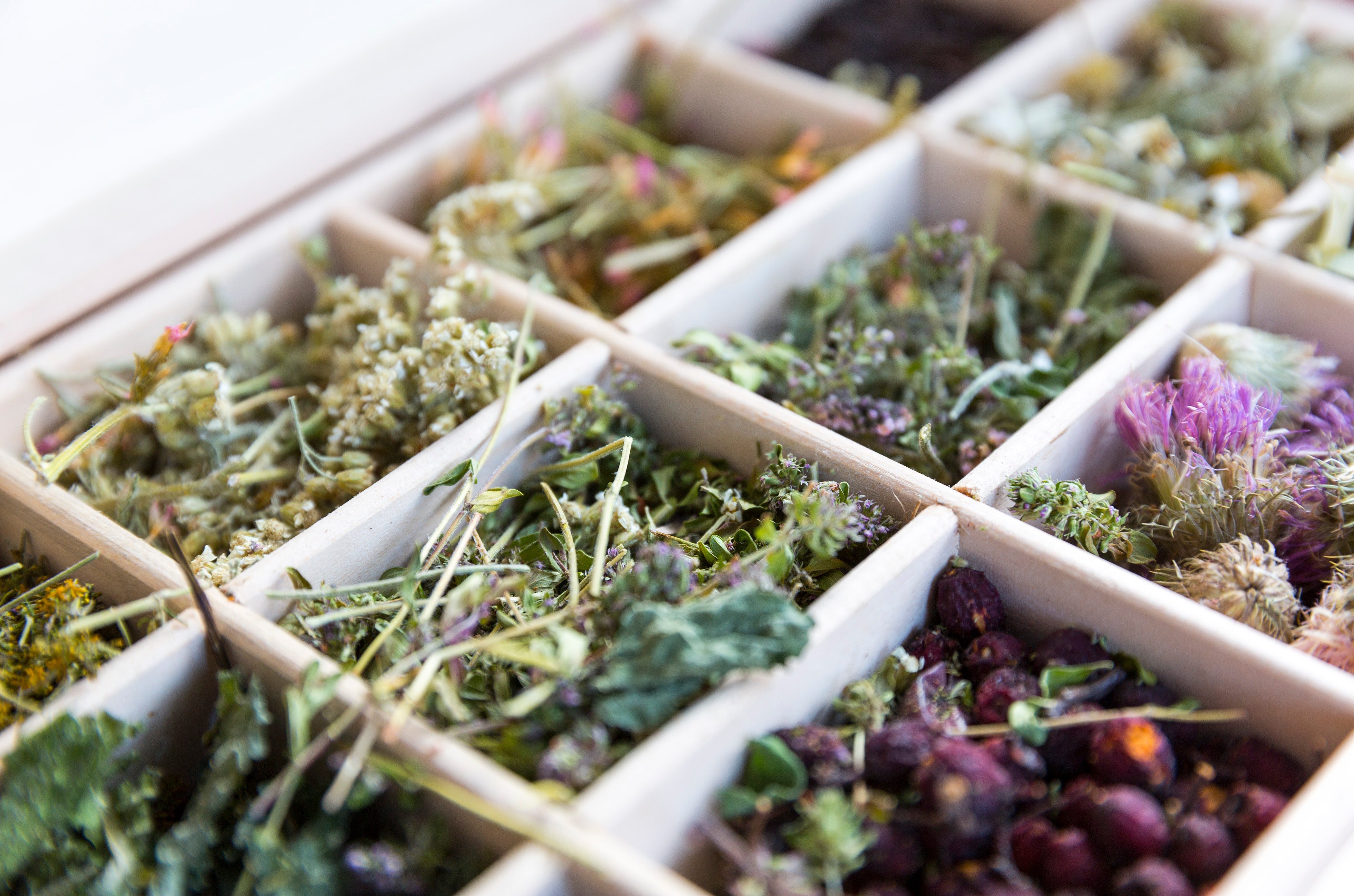 Dried Herbs – BioCham Natural oils & extracts